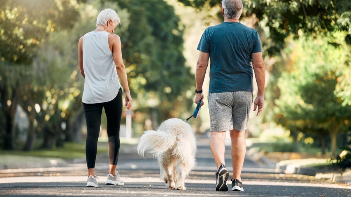 Para una vejez saludable, saca a pasear a tu perro